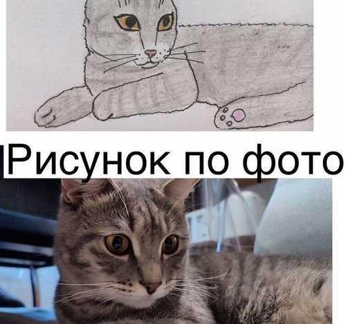 Рисунок вашего питомца