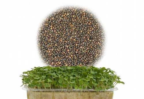 Семена Микрозелень от 50 грамм арт.0063