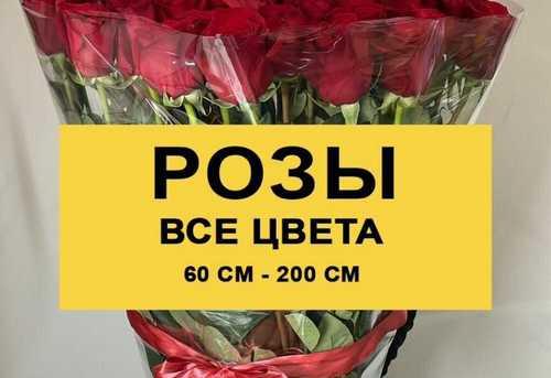 Букет из розы, роза с доставкой 25 101 501 1001 Мо