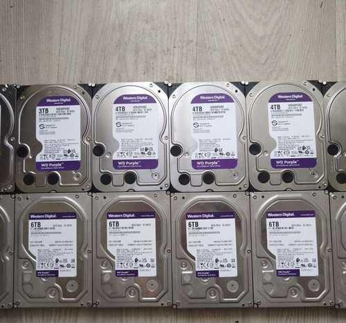 HDD WD Purple 2TB 3TB 4TB 6TB 8TB (оригинал)