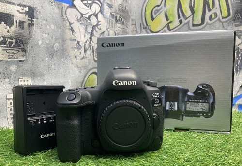 Canon EOS 5D Mark IV 500 кадров