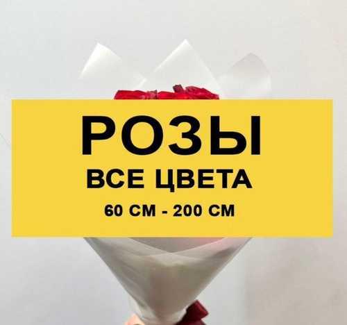 101 Роза / букет цветов