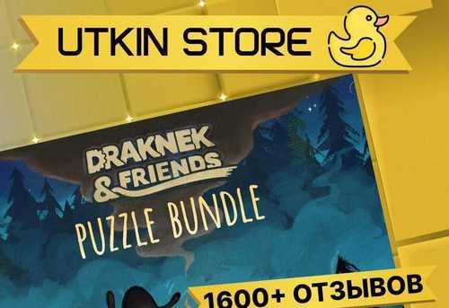 Draknek & Friends Puzzle Bundle PS4 PS5 на русском