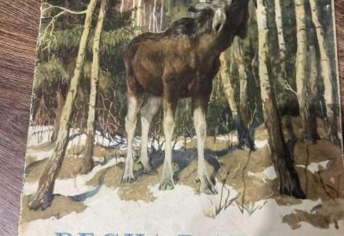 Весна в лесу, текст Соколов-Микитов, 1953