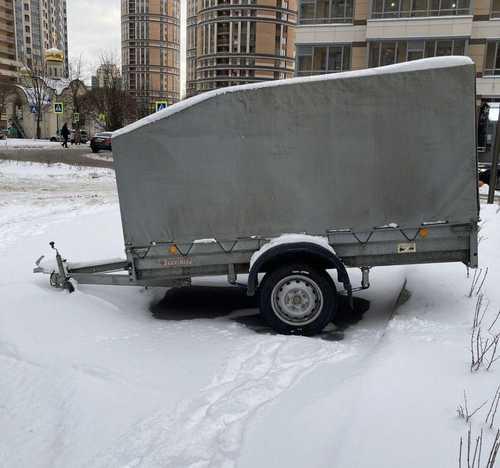 Прицеп легковой 3 метра