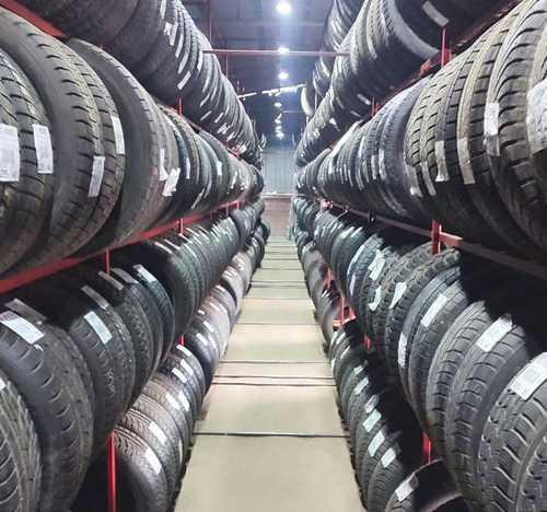 Dunlop Winter Maxx WM01 225/60 R18 98P