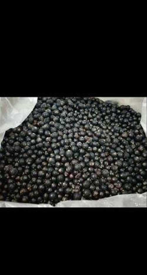 Черная смородина ягода