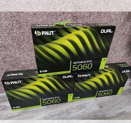 Новая RTX 5060 Palit RTX 5060 Dual
