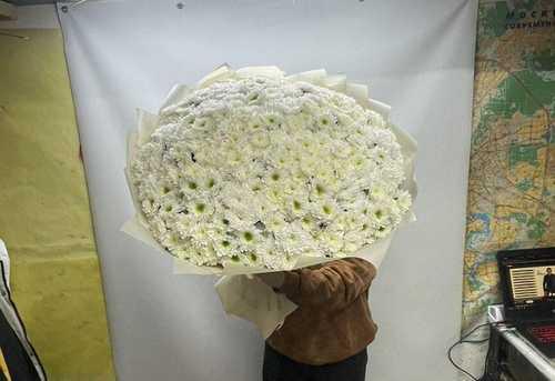Хризантема букет гипсофила цветы
