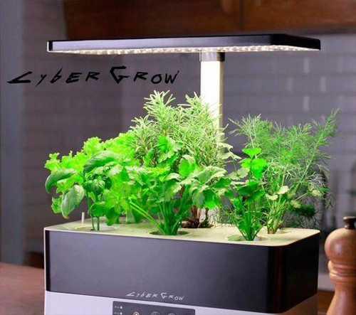 Гидропонная установка CyberGrow HomeBlack