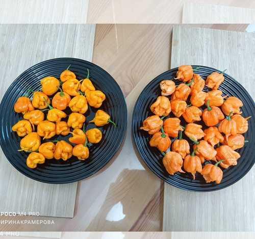 Перец острый каролина рипер(жёлтый и персиковый)