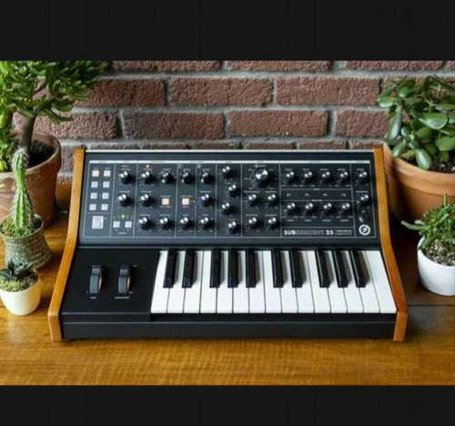 Синтезатор moog Subsequent 25