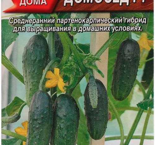 Рассада огурцов
