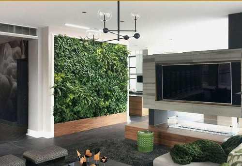 Инновационный дизайн: стены из растений. Арт: 2156