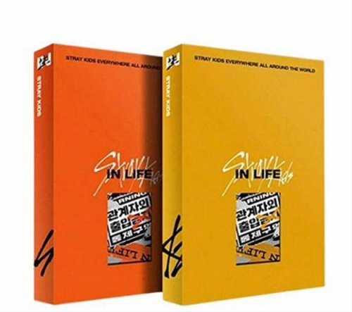 Stray kids in life album