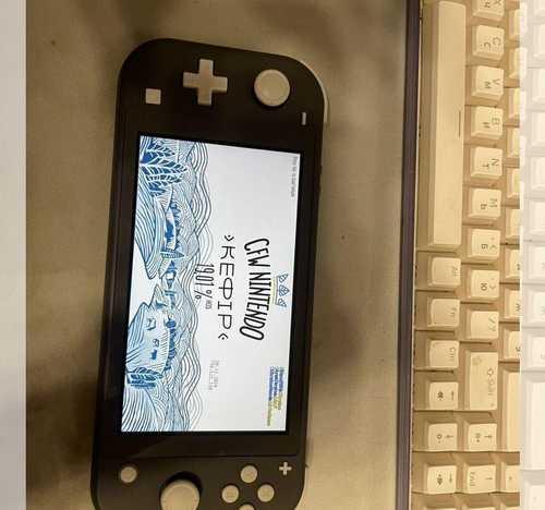 Nintendo switch lite прошитый