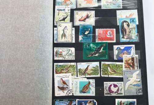 Почтовые марки