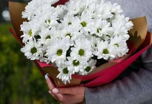 Букет из белых хризантем цветы и подарки на день р