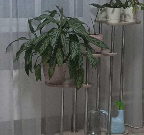 Стойка для цветов напольная