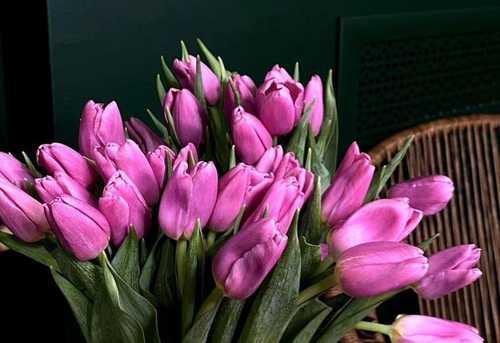 Нежные тюльпаны Букет тюльпанов Цветы с доставкой