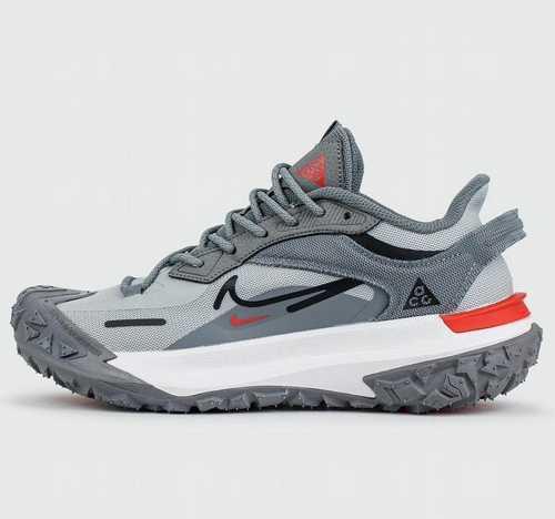 Кроссовки Nike ACG Mountain Fly 2 Low Gtx Grey