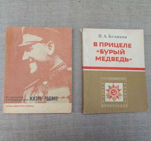 П.А. Беляков. В прицеле "Бурый медведь". Воспомина