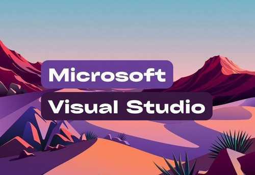 Лицензионный ключ Visual издания Studio Pro/Enter