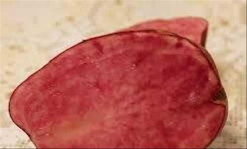 Cranberry Red (Клюква) семенной картофель почтой