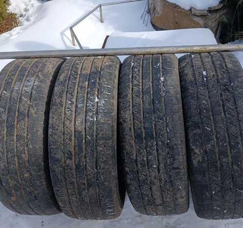 Michelin Agilis 255/55 R19