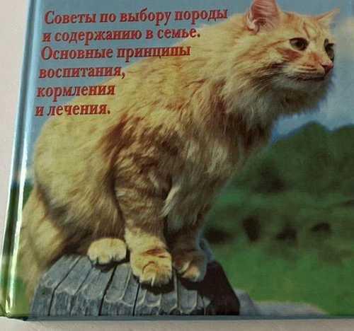 Книга о кошках