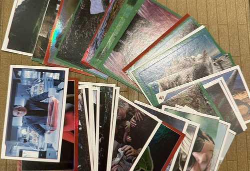 Наклейки panini мир юрского периода
