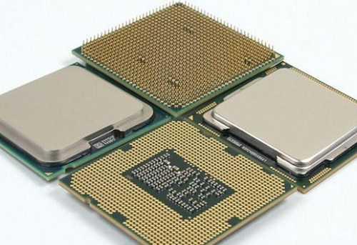 Процессоры Intel/ AMD