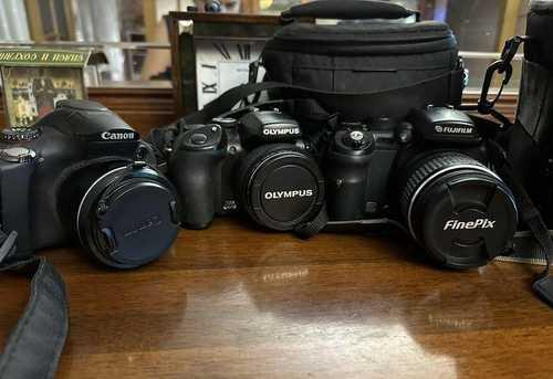 Зеркальные фотоаппараты Canon, Fujifilm
