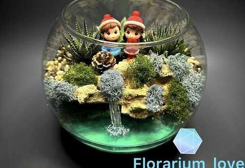 Флорариум подарок на 14 февраля