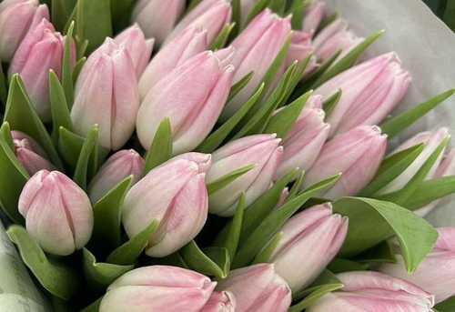 Тюльпаны букет, доставка цветов, крупные тюльпаны