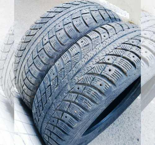 Gislaved Nord Frost 5 195/65 R15 91T