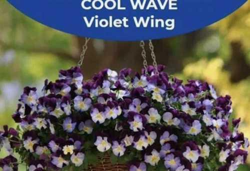Виола ампельная Cool Wave семена