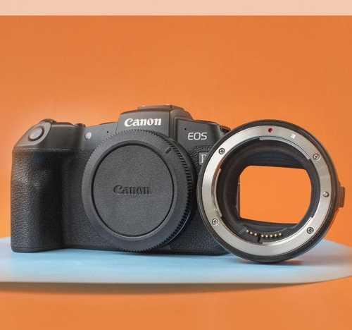 Canon RP body   Адаптер Canon EOS R - EF