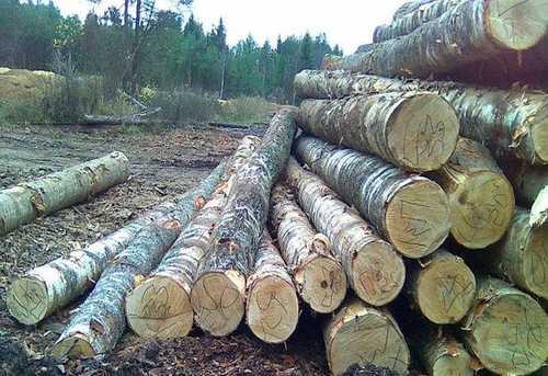 Строевой лес сосна (28-50 см)