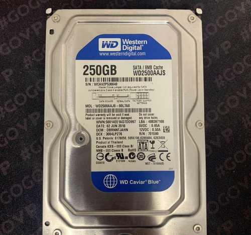 Жесткий диск wd blue 250gb