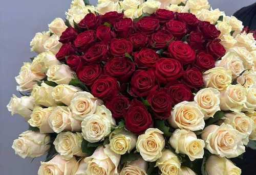 Букет сердце из 101 розы доставка Новосибирск