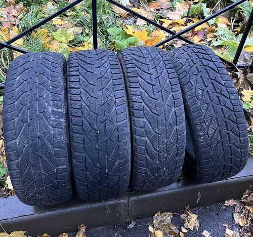 Tigar Ice 195/55 R16