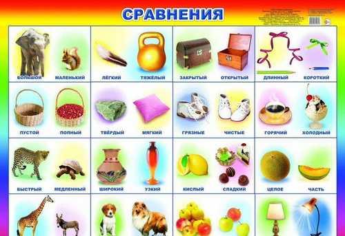 Плакат 4616 Сравнения Леда