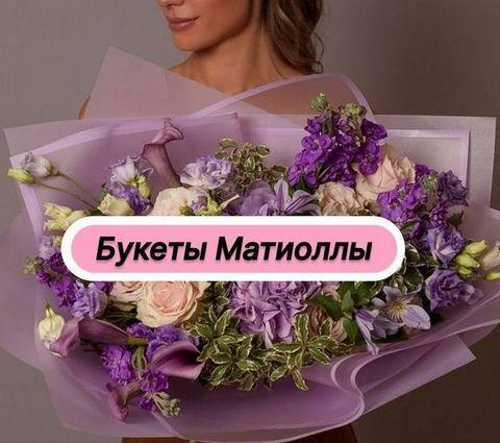 Букеты Цветы Маттиола