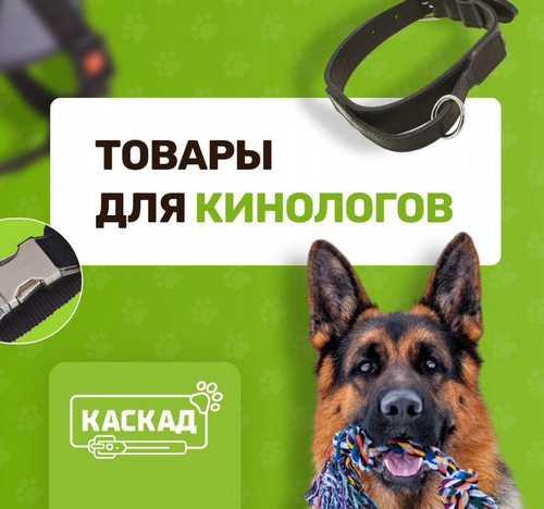 Профессиональная амуниция, экипировка кинологов
