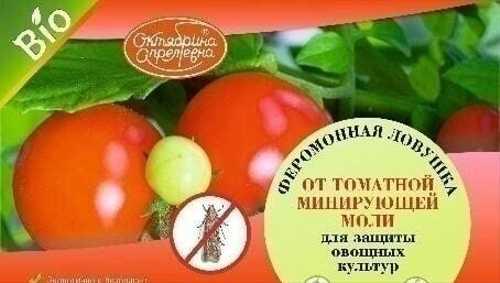 Феромонная ловушка на томатную минирующую моль