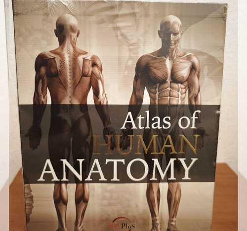 Atlas of Human Anatomy (+CD)