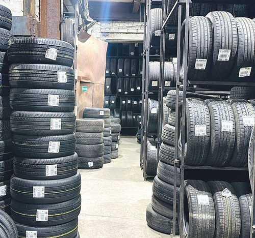 Dunlop Winter Maxx WM01 205/60 R16 96W