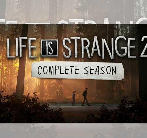 Игра Life is Strange 2 Complete Season на PS4 PS5