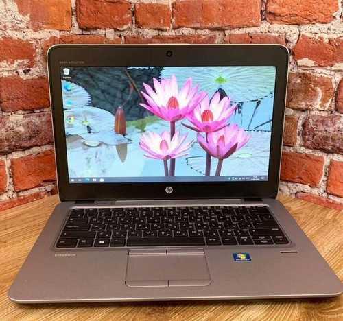 Ноутбук HP EliteBook 725 для работы учебы игр